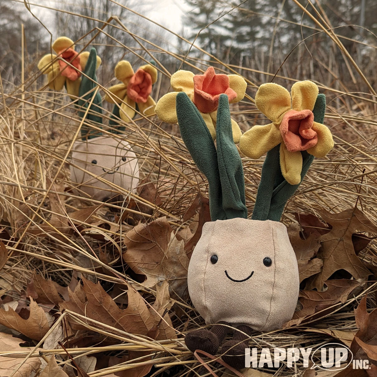 Amuseable Daffodil Pot – Happy Up Inc Toys & Games